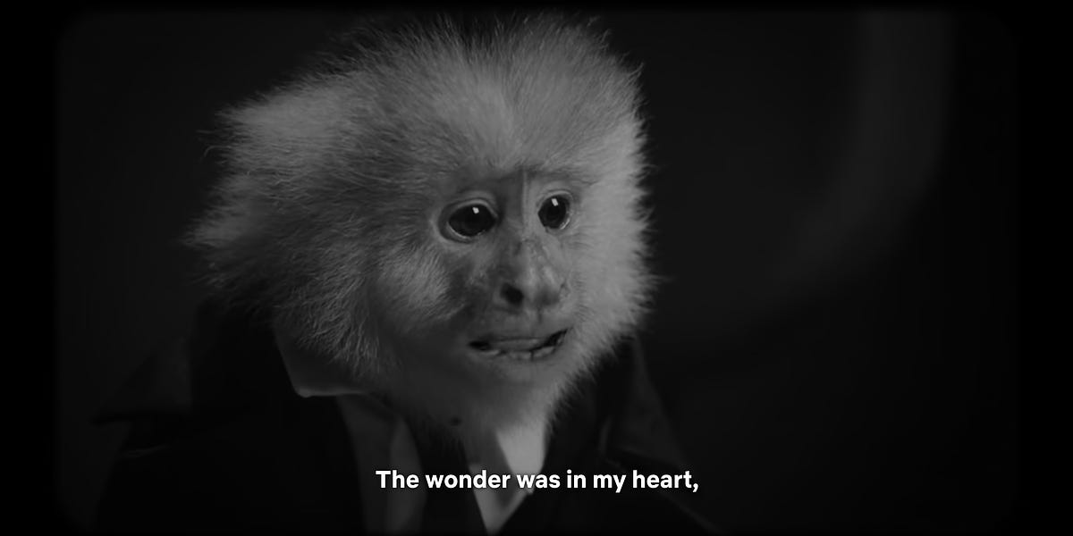 Five Weird (But Good) Things to Watch on Netflix